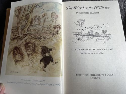 1979 Edition "Wind in the Willows" Kenneth Grahame Hard Cover | eBay ...