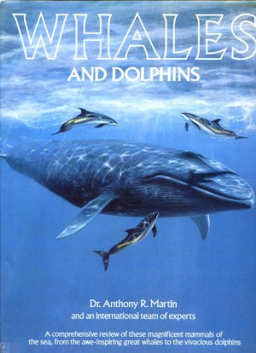 Whales and Dolphins,Anthony R. Martin | eBay