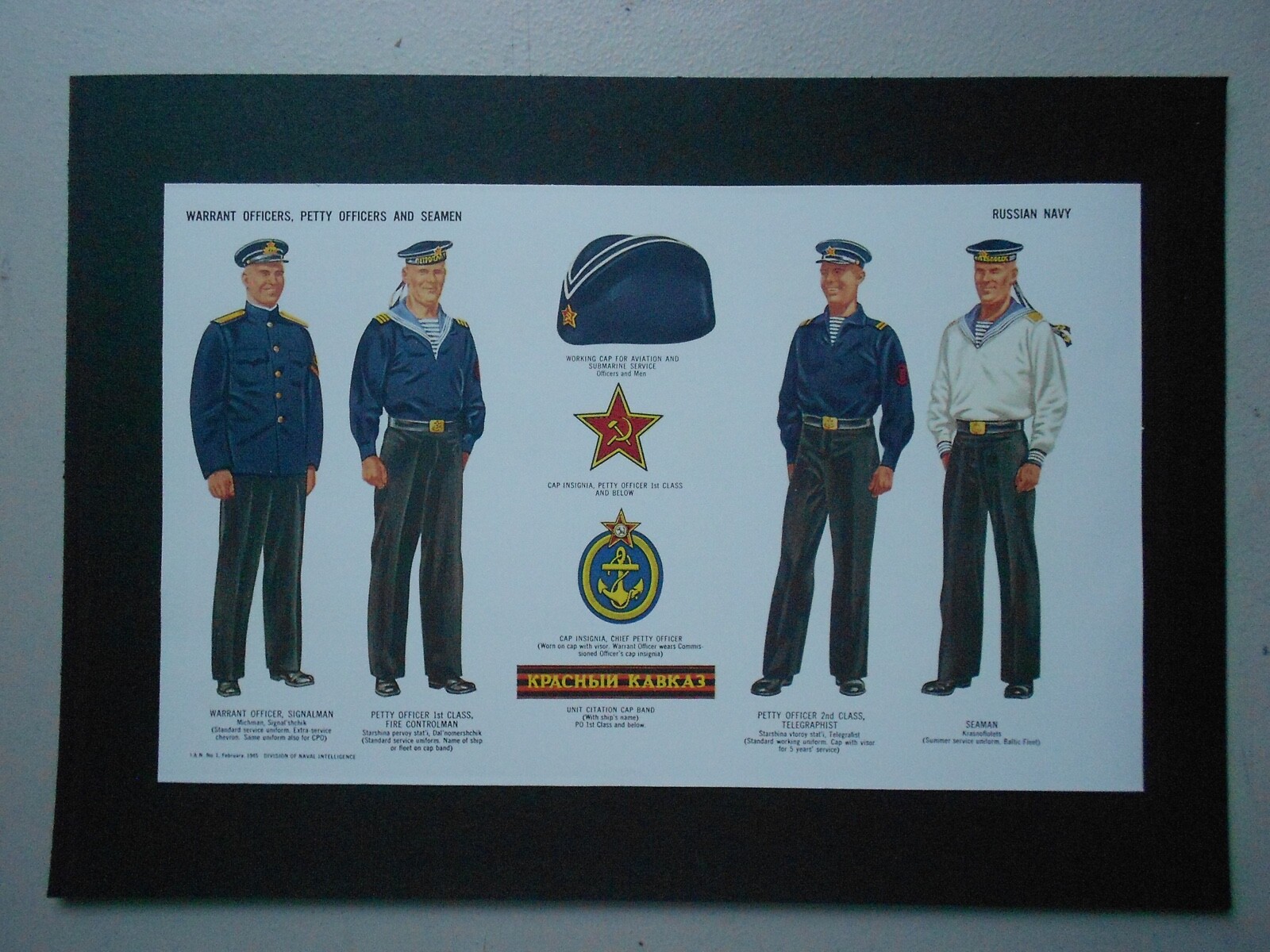 MILITARY PRINT-WW2 NAVAL UNIFORMS & INSIGNIA:SWEDISH NAVY: OFFICERS AND ...