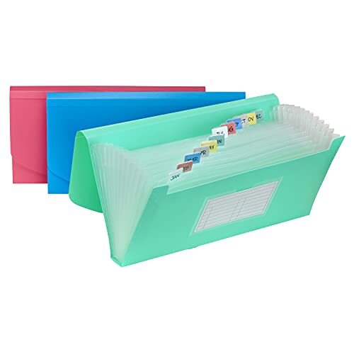 13-Pocket Poly Expanding File, 10 x 5 Inches, Junior Size for Receipts ...