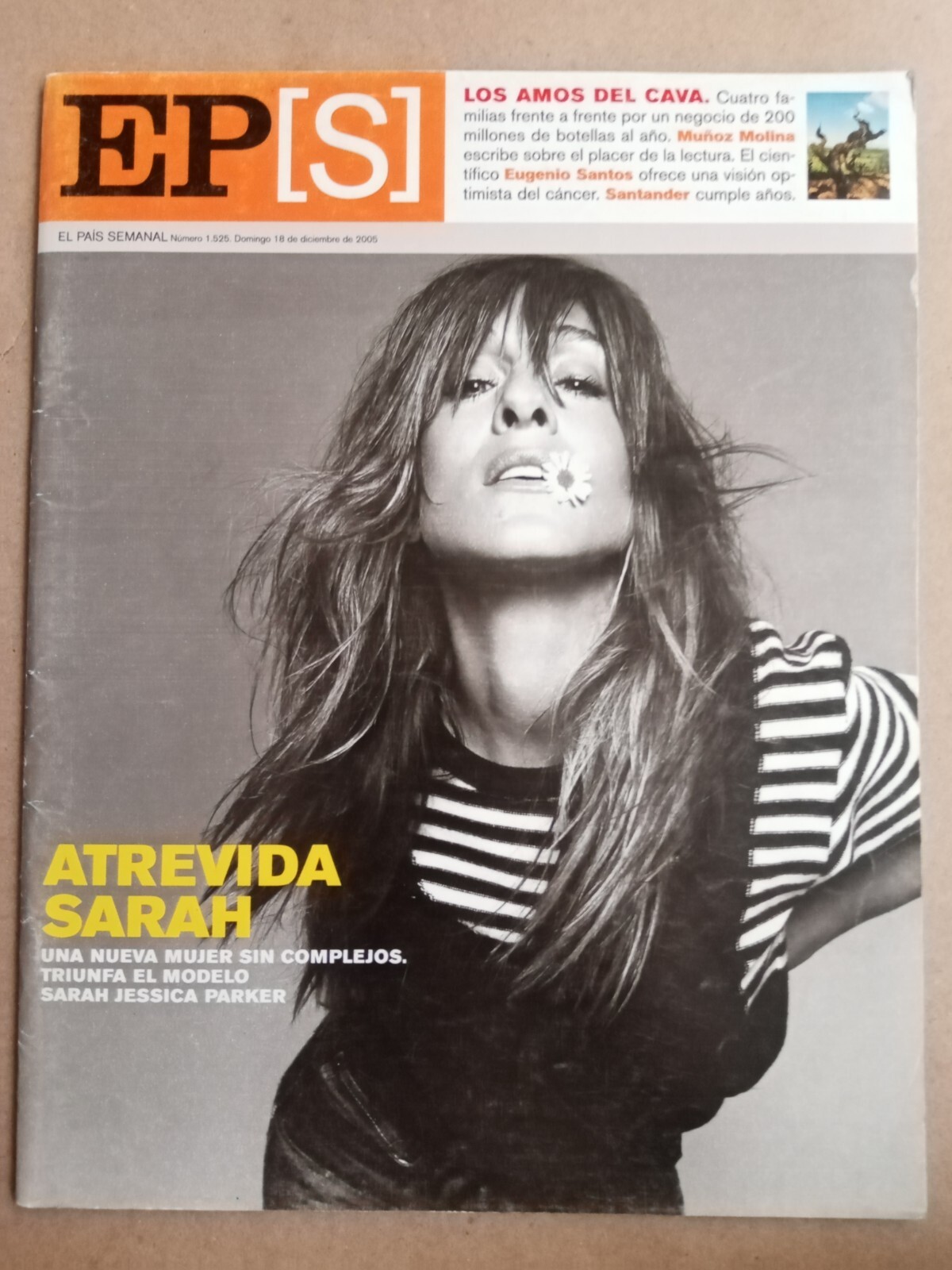 SARAH JESSICA PARKER EL PAIS MEXICAN MAGAZINE MEXICO SPANISH DECEMBER ...
