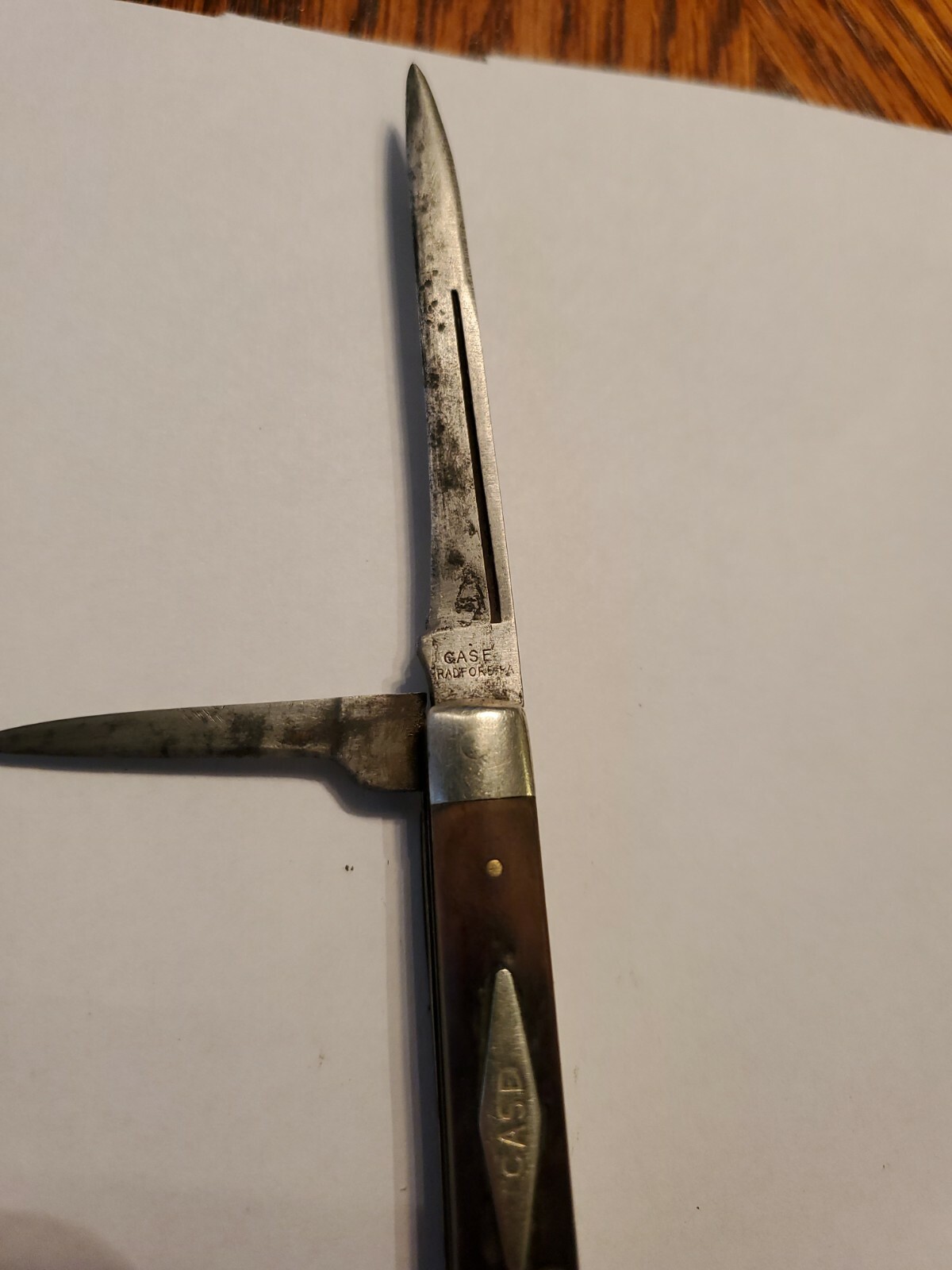 Case Bradford PA 1905 to1920 #6202 Roger Bone Pinned Diamond shield ...