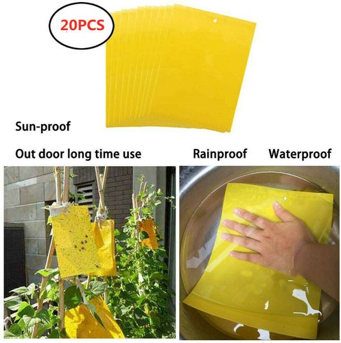 10-20Pack Yellow Sticky Glue Paper Insect Trap Catcher Killer Fly ...
