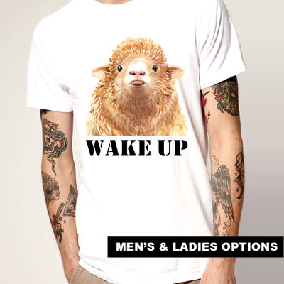 Sheep Conspiracy Memes Mareep Meeting Wooloo | Bring Back National Dex