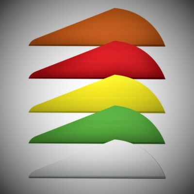 RAPTOR-X 2" VANES GOLD TIP 50 PK | eBay