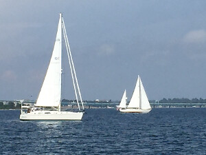 SACMAN | eBay Stores