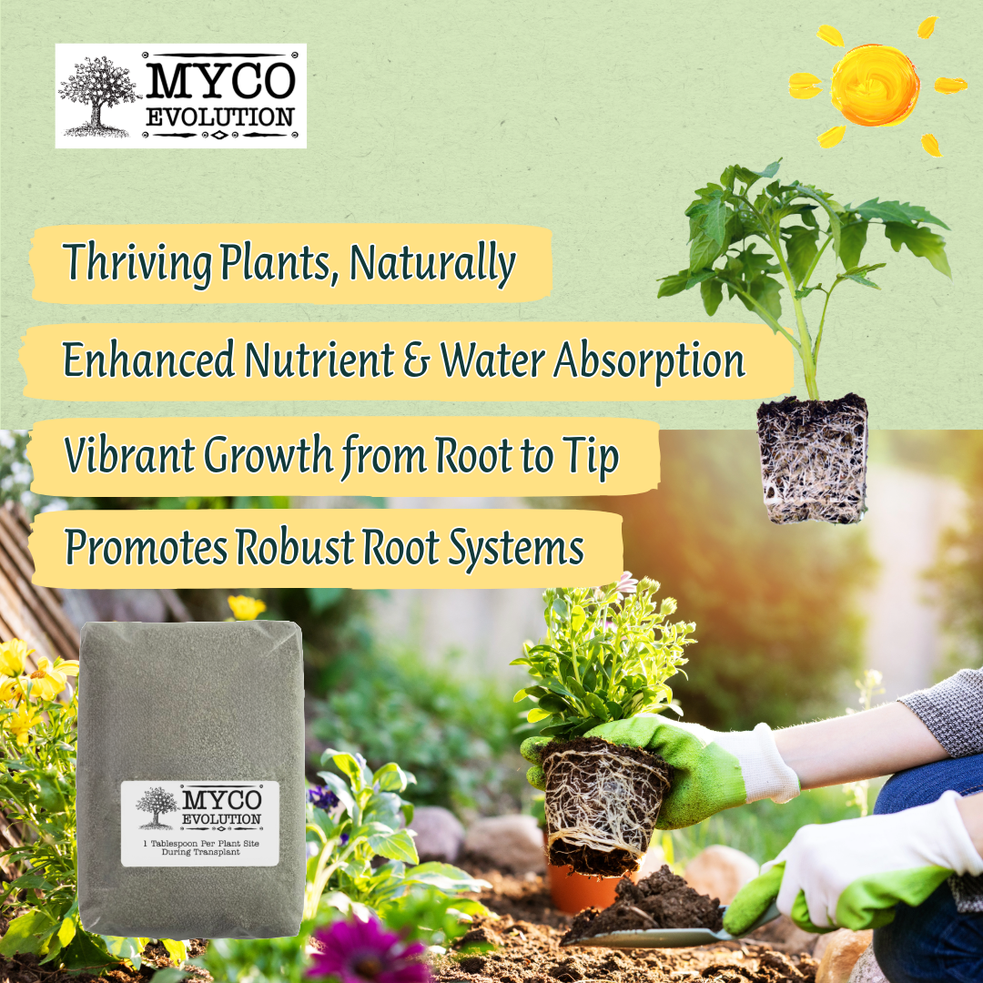 Myco Evolution 5 Lbs Mycorrhizae Root Fungi Granular Mycorrhizal 134 ...