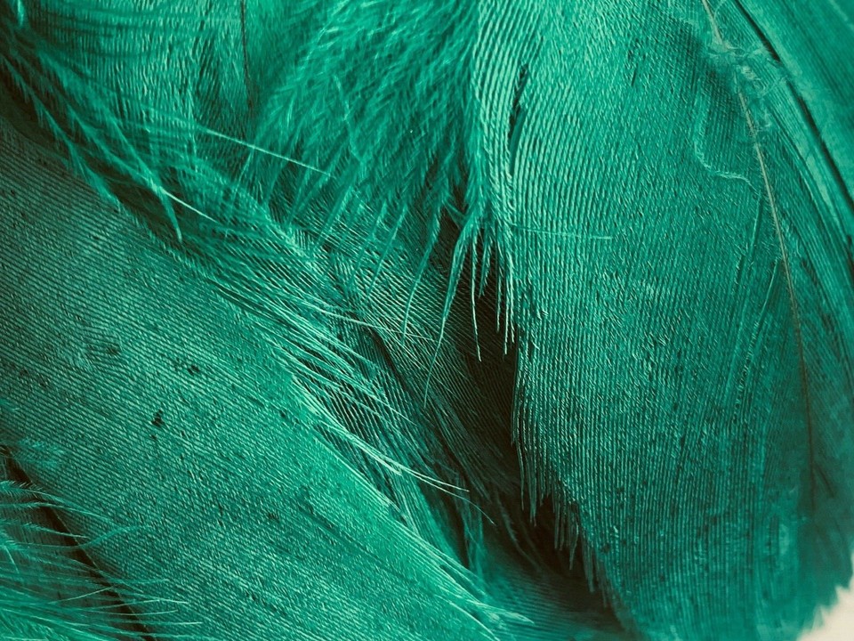 100 Solid Coloured Feathers - Mixed Sizes - Art, Craft, Bubble Balloon ...