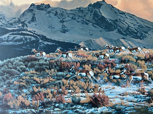 Rod Frederick, "Fast Break", SIGNED LIMITED EDITION PRINT! (553/2250 ...