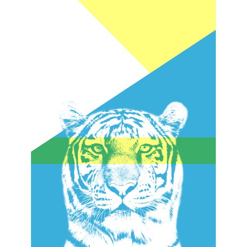 Bold Animals Blue Tiger Print Canvas Premium Wall Decor Poster | eBay ...