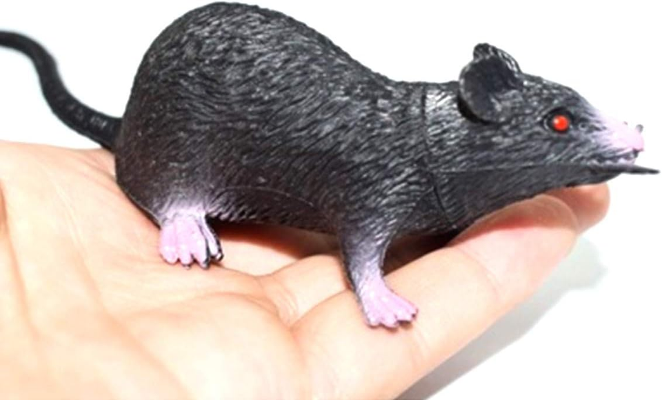 6 Pack Simulation PVC Mouse Novelty Prop Halloween Decorations | eBay