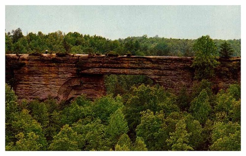Postcard NATURE SCENE Slade Kentucky KY 9/18 AS2250 | eBay