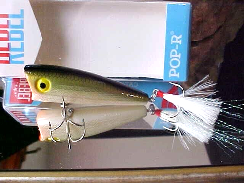 REBEL POP-R P6048 2 1/2" 1/4oz Topwater Popper in TENNESSEE SHAD for ...