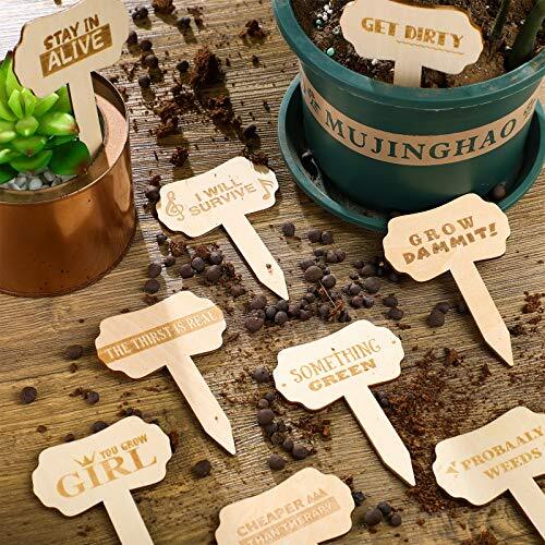 24 Pieces Funny Plant Markers Wooden Plants Labels T-Type Garden Labels ...