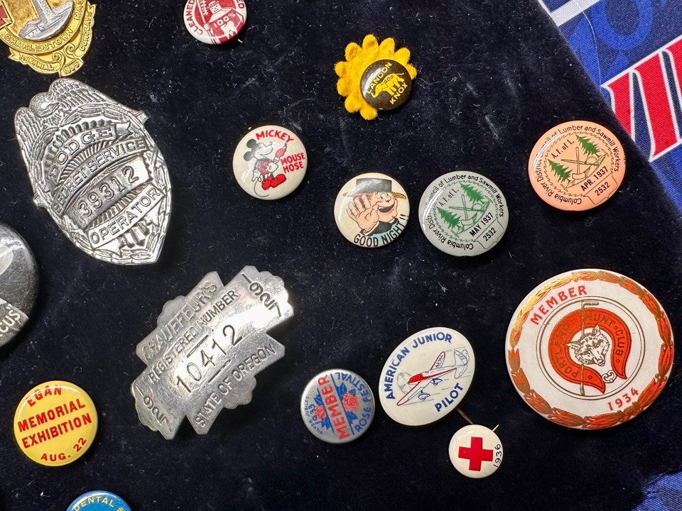 1930's Pin Set, 48 Pins, Babe Ruth, Mickey Mouse, Tom Mix, Rose Fest ...