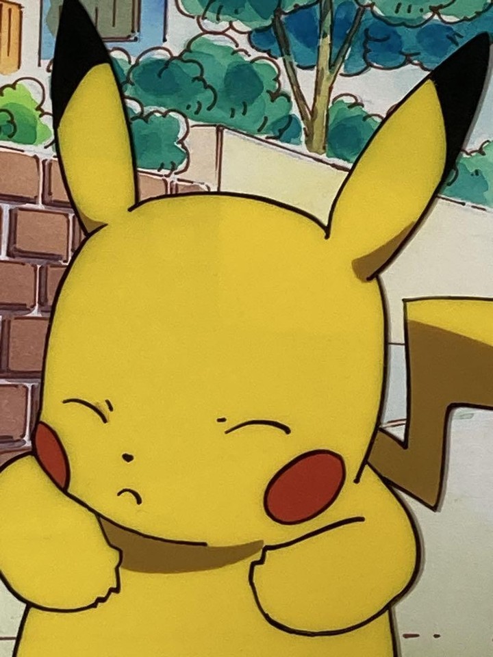 Pokemon Cel Artwork with Background 26.5x22cm Used | eBay