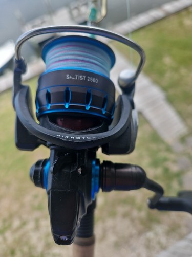 Daiwa Saltist 2500 Saltwater Spinning Reel Used | eBay