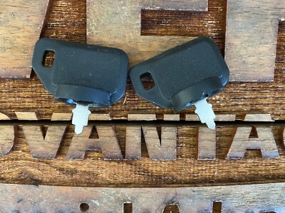 2 keys fits Toro Snow Blower Ignition Switch CCR,SnowMaster,Power Clear ...