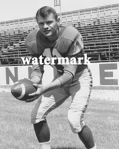 Ken Ploen - Winnipeg Blue Bombers, 8x10 B&W Photo | eBay