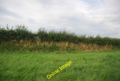 Photo 6x4 Roadside verge, B4320 Hundleton c2013 | eBay UK