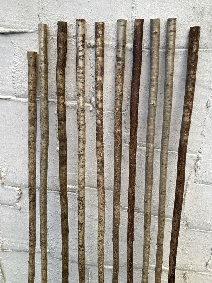 Hazel Walking Stick Shanks | eBay UK