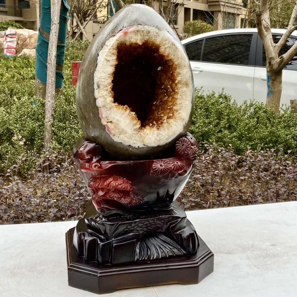 52.91LB Natural citrine geode quartz cluster crystal Dinosaur egg ...