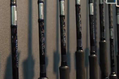 Shimano 20 LUNAMIS S110M 11ft 2pcs Spinning Rod New | eBay