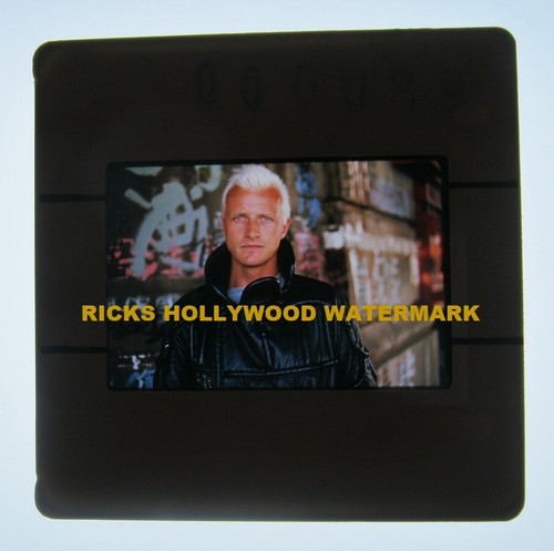 Original BLADE RUNNER 35m Studio Production Slide #89 RUTGER HAUER ROY ...