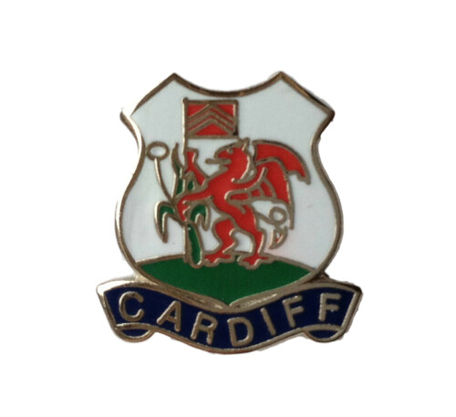 Cardiff Wales Flag Quality Enamel Lapel Pin Badge | eBay UK
