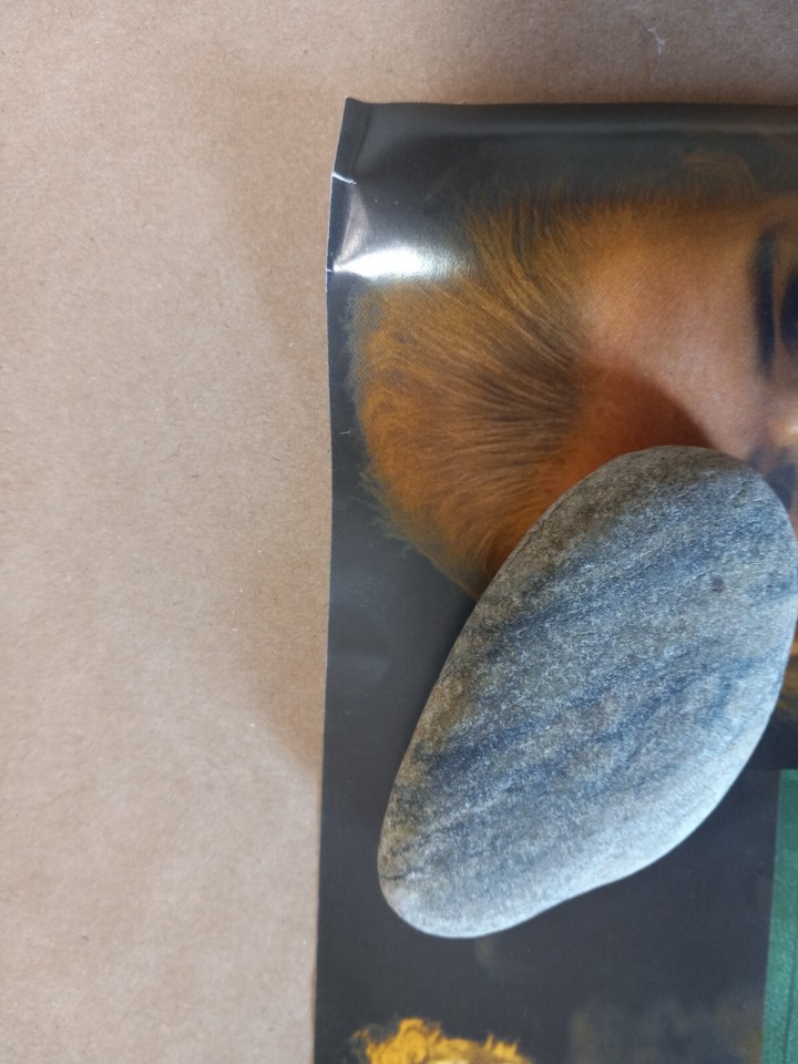 RARE The Lord of the Rings: The Two Towers 2002 Rohan and Gondor Map ...