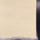 Kyurem Pokemon Toyopet Seal Sticker 15 aniversary 2012 Nintendo ...