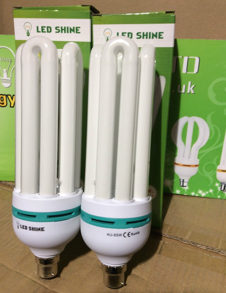 Daylight Compact Fluorescents LED GLS 10W ES 1150 Lumens Daylight 865