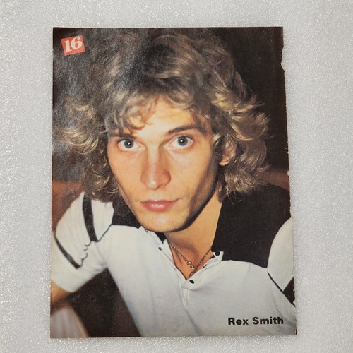 Rex Smith Peter Barton cocker spaniel double-sided vintage poster ...