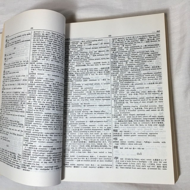 The Pinyin Chinese-English Dictionary by Beijing Language Institute ...