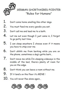 German Shorthaired Pointer "Rules for Humans" - CUSTOM MATTED - Dog Art ...