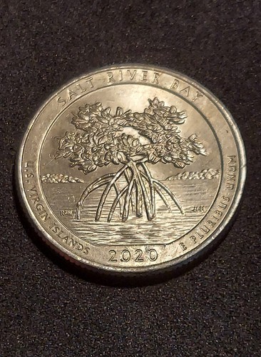2020p "Salt River Bay" Quarter-Die Chip & Finger Feede error | eBay