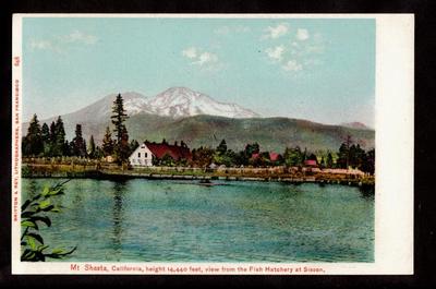 c.1905 Mt.Shasta view from Fish Hatchery at Sisson California postcard ...