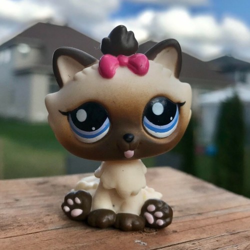 *RARE* Littlest Pet Shop Brazilian Variant Himalayan Cat 2143 Authentic ...