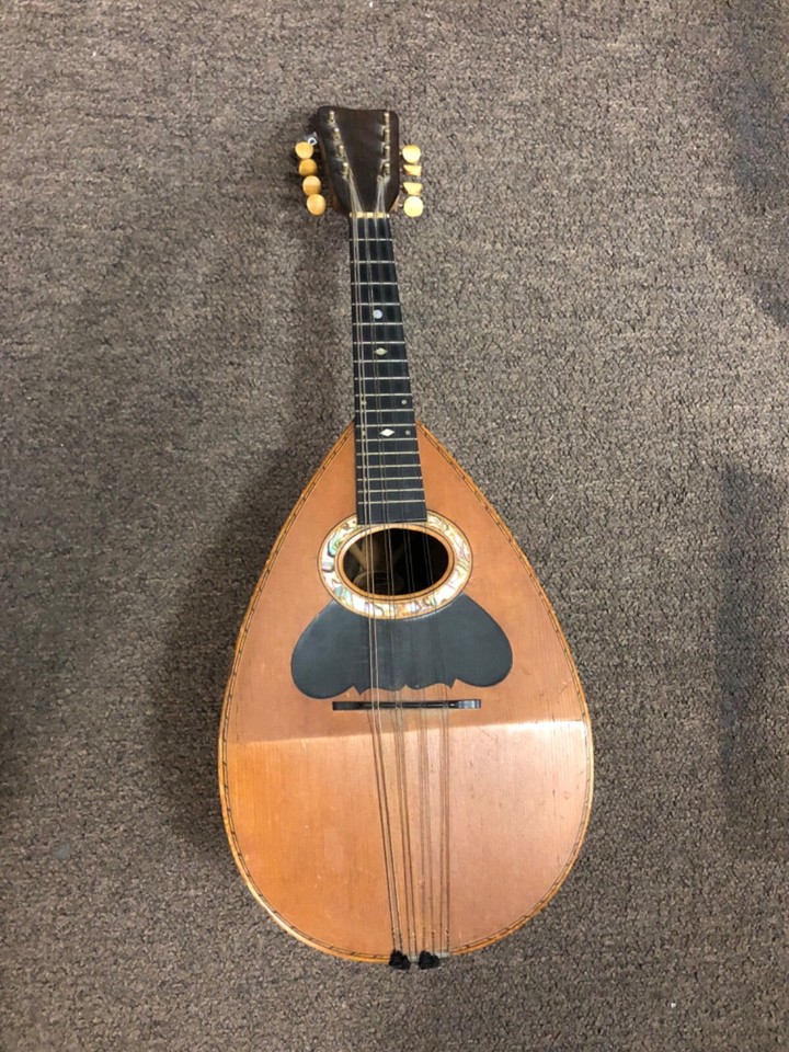 Vintage Bowlback Wasburn Acoustic Mandolin Guitar - A MUST HAVE! - USED ...