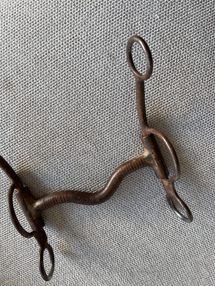 Jack Brainard Sweet iron Curb Bit - 5" | eBay