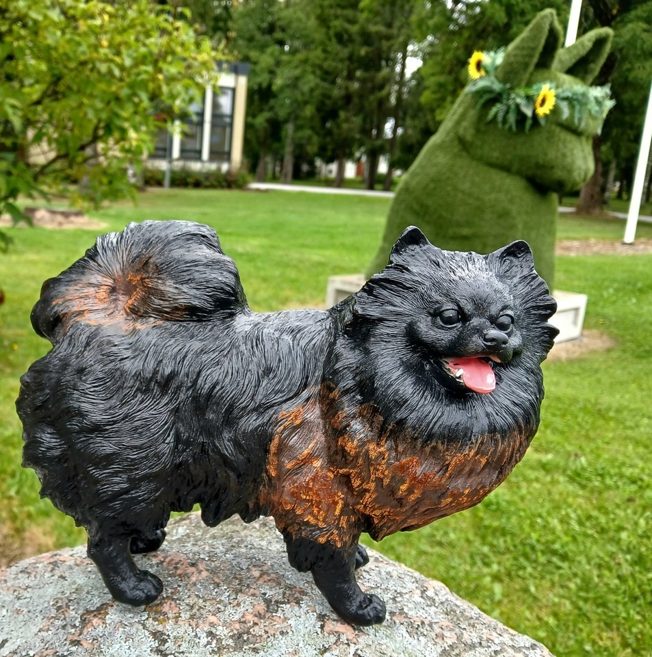 Pomeranian Spitz, Miniature Spitz, Spitz sculpture, Spitz figurine ...