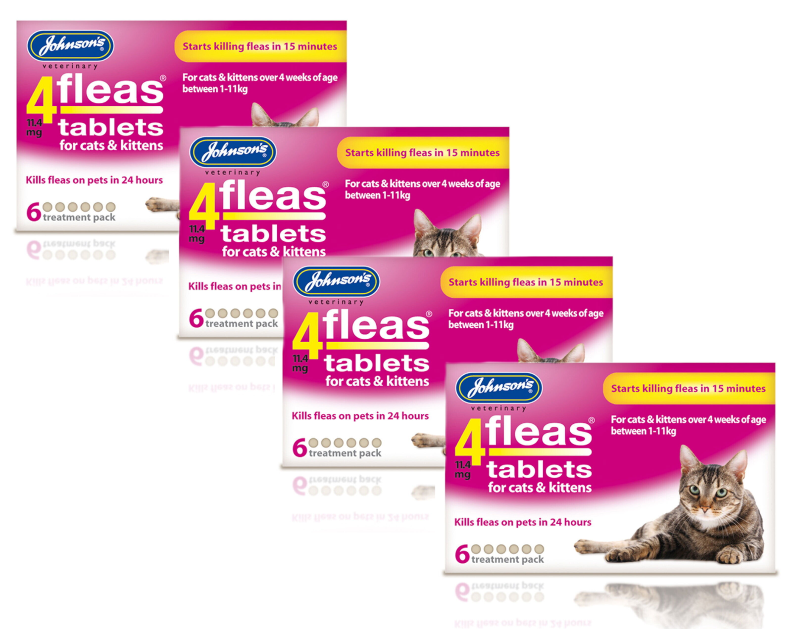 JOHNSONS 4FLEAS CATS & KITTENS TREATMENTS FLEA KILLER TREATMENT 3, 6 ...