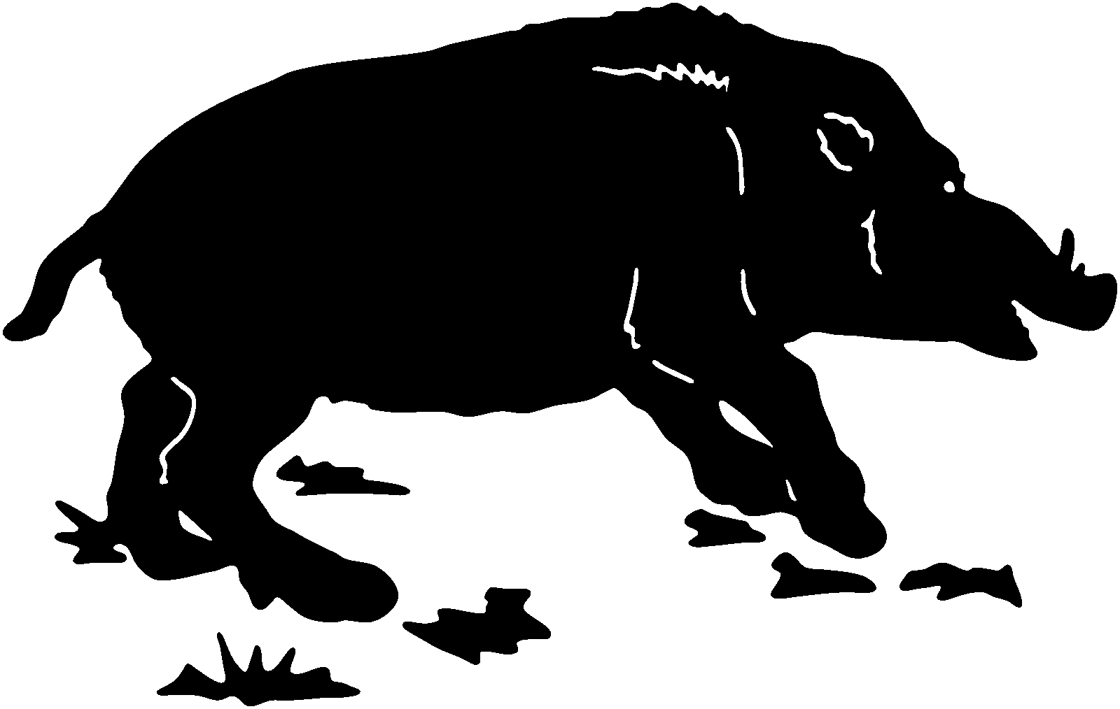 Boar Hog STA # 1 Vinyl Wild Animal Decal Wildlife Window Sticker for ...