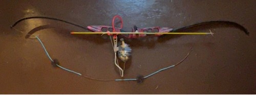 Cajun Fish Stick Bowfishing Bow w/Muzzy reel and custom string | eBay