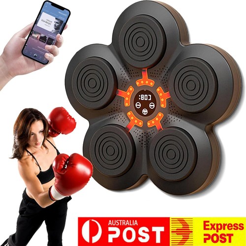 Boxing Training Target Wall Mount Bluetooth Music Indoor React Exercise ...