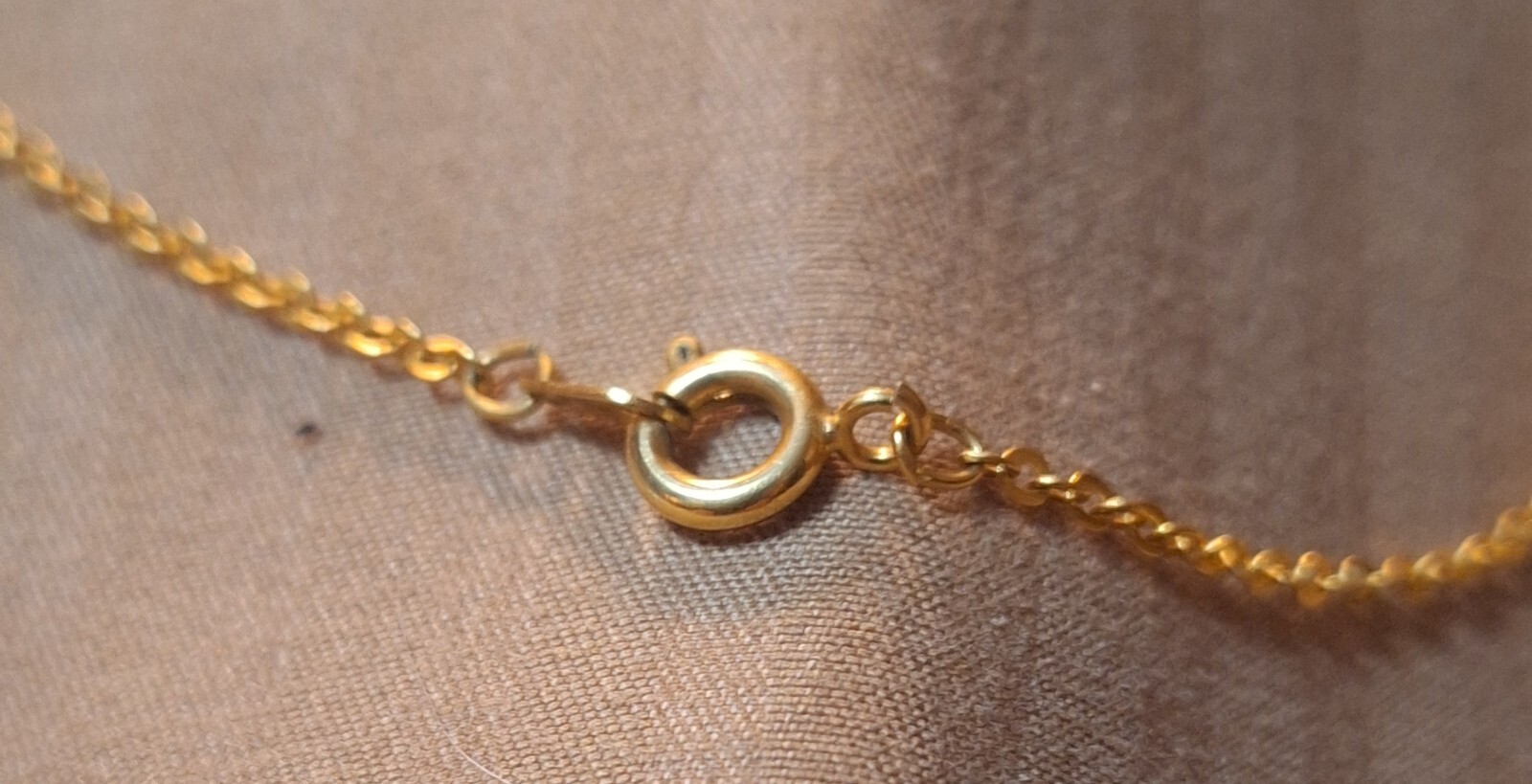 VINTAGE SMALL SNAIL SHELL PENDANT GOLD HIGHLIGHTS AND GOLDTONE CHAIN ...