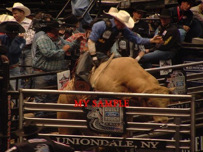 TROY DUNN on WHITE LINE ACTION PBR PROFESSIONAL BULL RIDING 8" by 10 ...