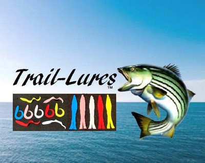 TRAIL-LURES Rig JIg Trailers- Fish Tails+Action Eels, COMBO PACK, 5 ...