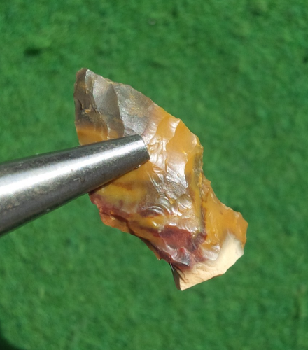 1" ELKO WIDE NOTCH OREGON ARROWHEAD Authentic Projectile Point ...