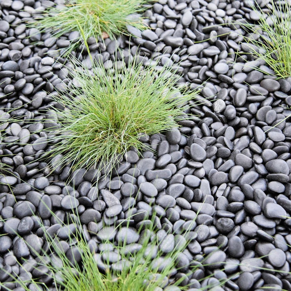 Tuscan Path 15-20mm 10kg Polished Black Pebbles | eBay Australia